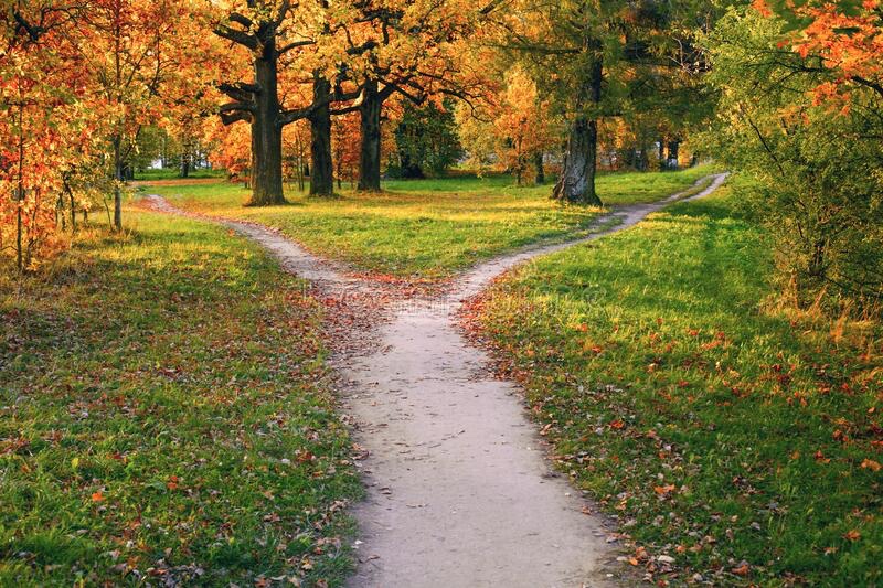 The Right Path – Educational Stoic